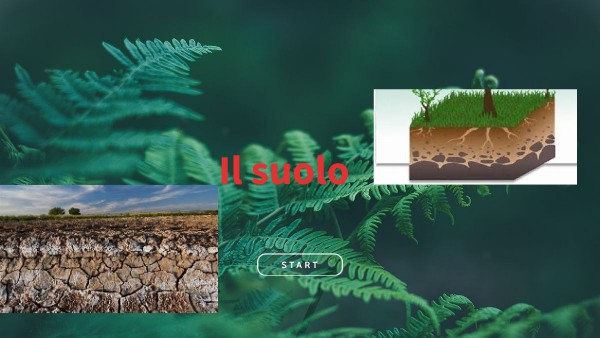 il suolo