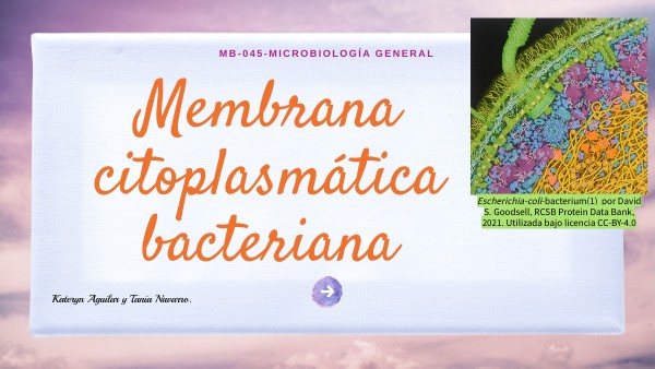 Membrana citoplasmática | Genially