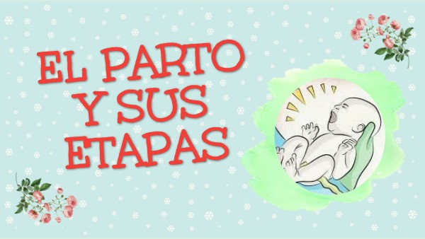 EL PARTO Y SUS ETAPAS | Genially