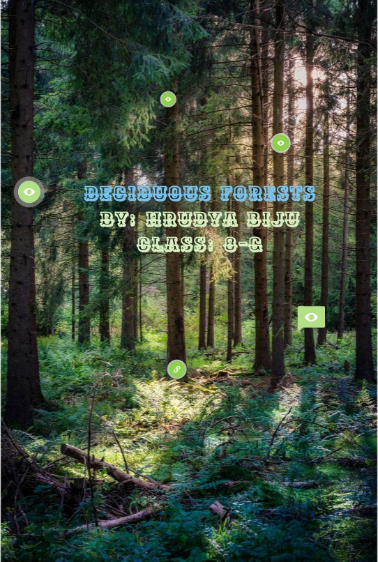D6255 HrudyaBiju geography genial ly