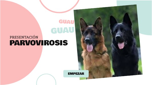 PRESENTACIÓN P | Genially