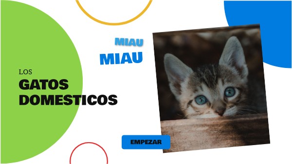 GATOS DOMESTICOS | Genially