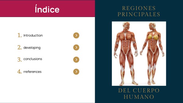 Cephalic and cervical region: bones of cranium and face, eyes, nose, m ...