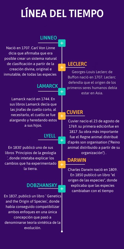 LÍNEA TEMPORAL ANIMADA | Genially