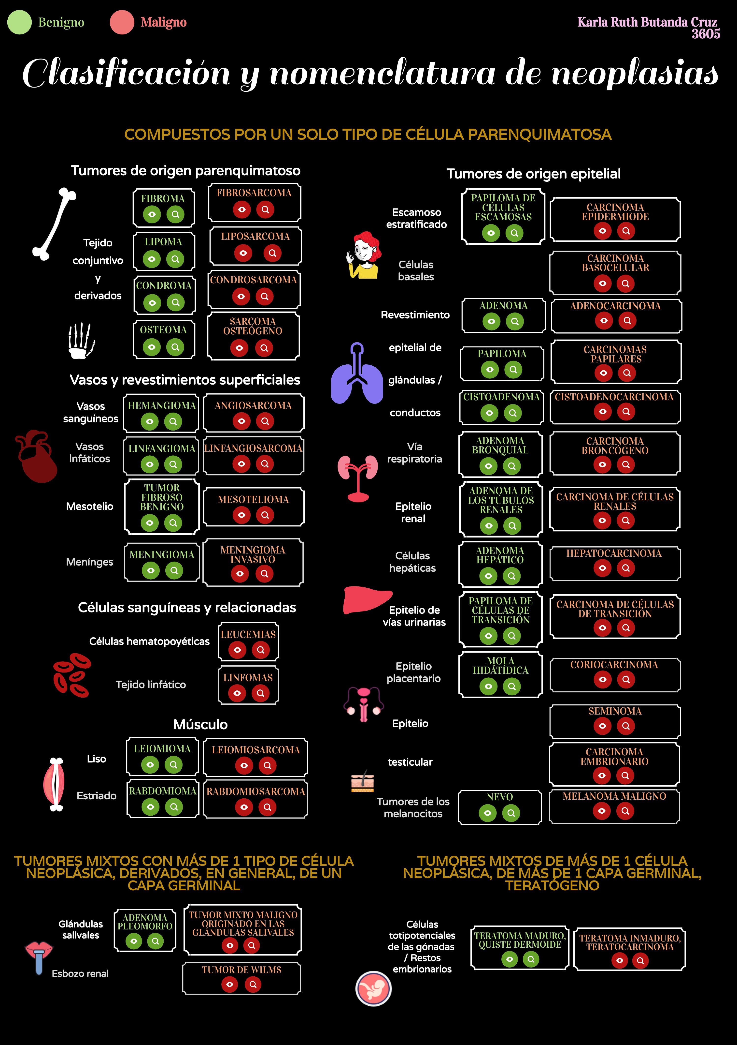 Clasificación y nomenclatura de neoplasias | Genially