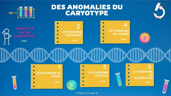 Des anomalies du caryotype | Genially