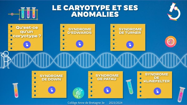 Copie - Des anomalies du caryotype | Genially