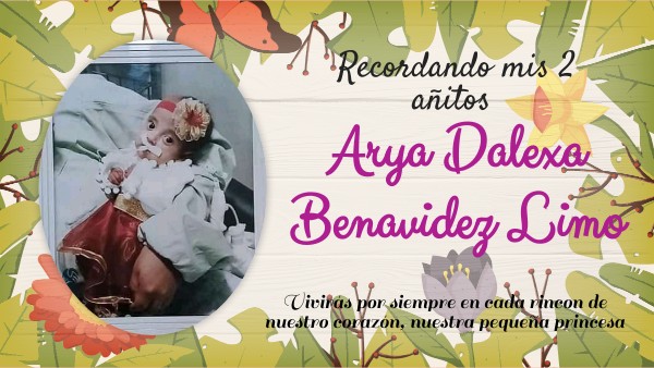 MIS 2 AÑITOS