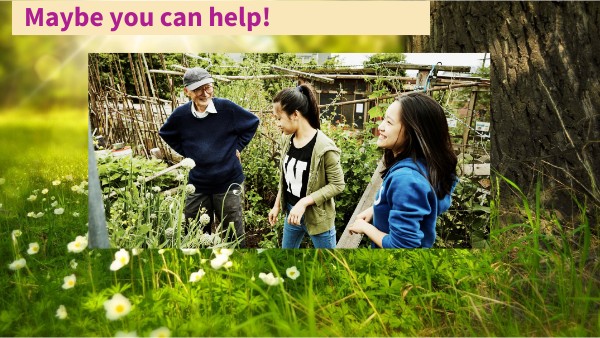 Community activities | Genially