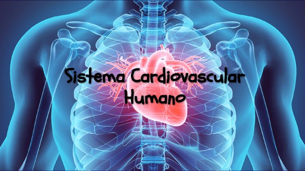 Sistema cardiovascular humano | Genially