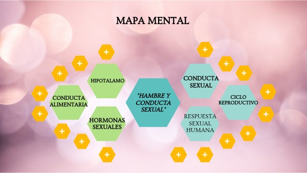 MAPA MENTAL PANAL | Genially