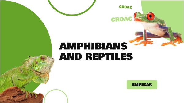 Amphibians and Reptiles