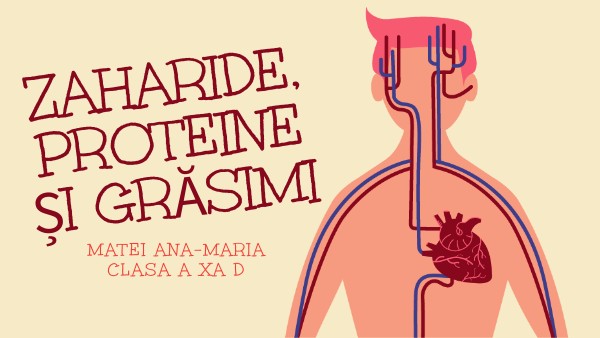 proteine,grasimi,zaharide | Genially
