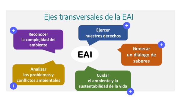 Ejes de la EAI y claves para su abordaje