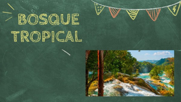 BOSQUES TROPICALES | Genially