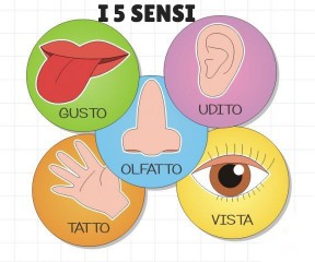 I cinque sensi