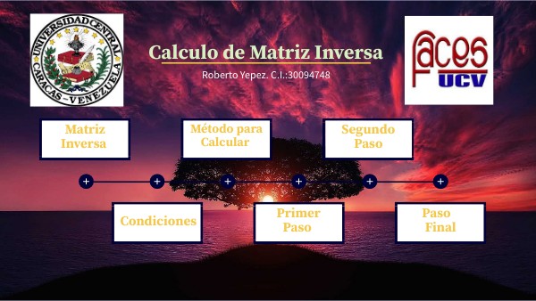 Calculo de la Matriz Inversa Calculo de la Matriz Inversa