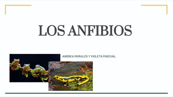 PRESENTACIÓN ANFIBIOS