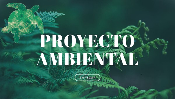 PROYECTO AMBIENTAL
