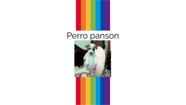 perro panson | Genially