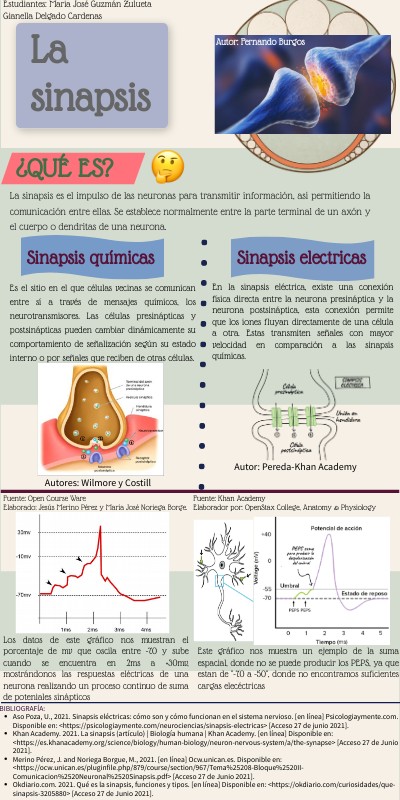 INFOGRAFÍA LA SINAPSIS_MARÍA JOSÉ GUZMÁN-GIANELLA DELGADO 4TOA
