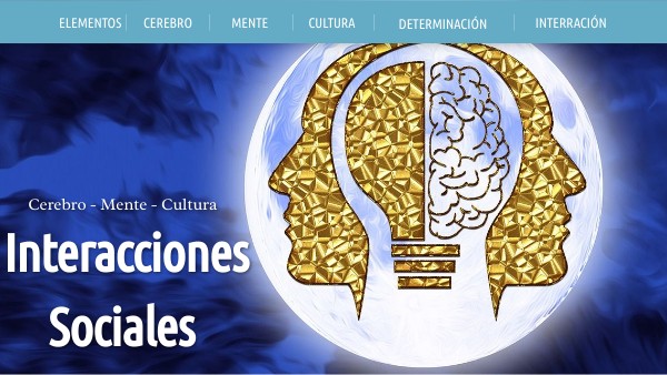 Interacciones Sociales