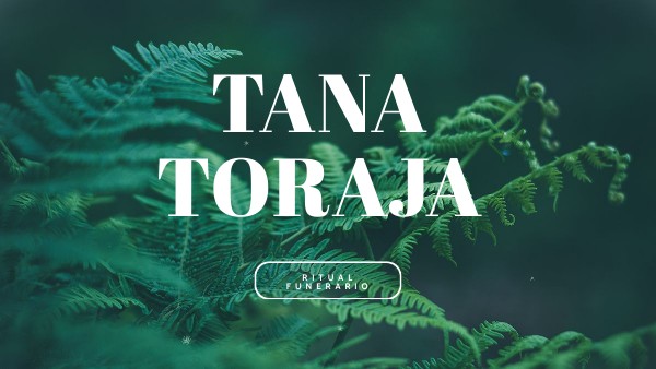 Tana Toraja | Genially