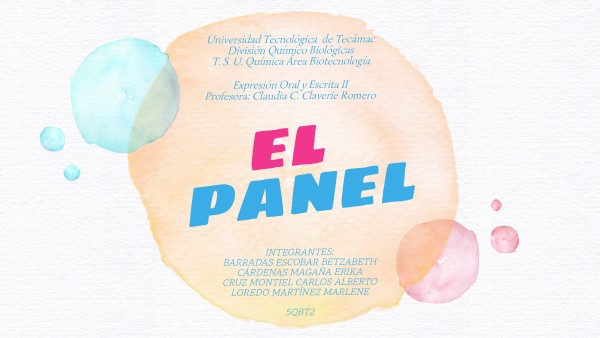 EL PANEL