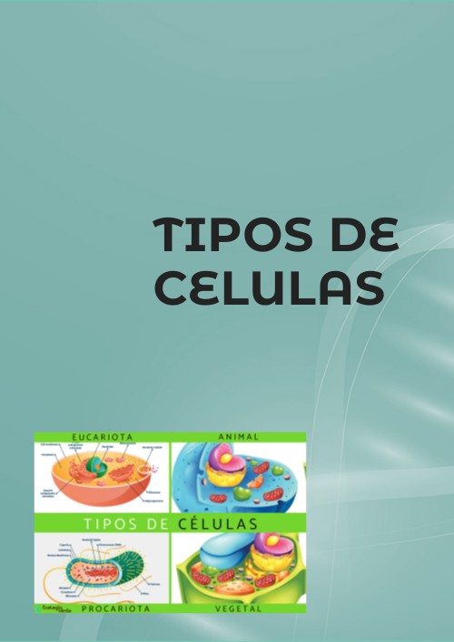 Tipos celulares