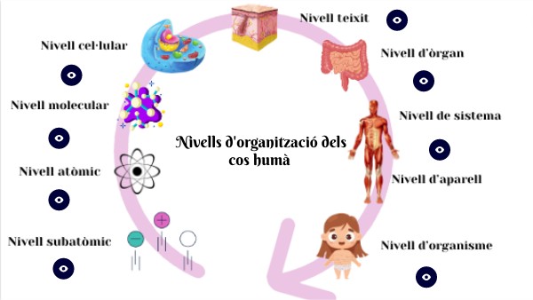 PRESENTACIÓN MINIMAL