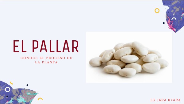 El Pallar