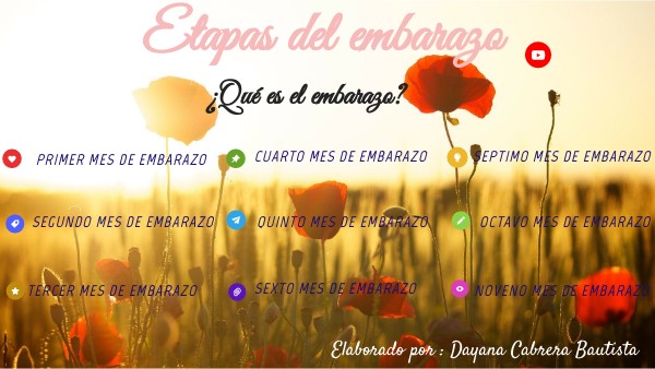 Etapas del embarazo | Genially