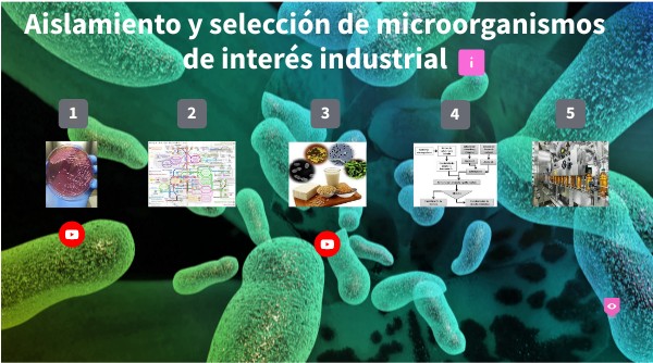 Paisaje micro industrial
