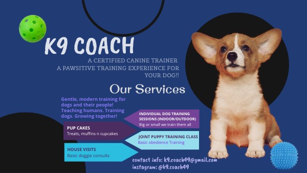 dog trainer flyer | Genially