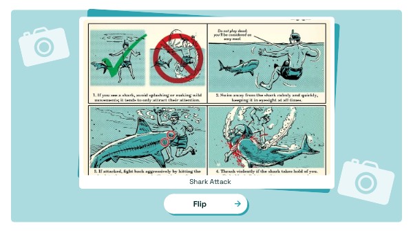 modals: shark attack | Genially