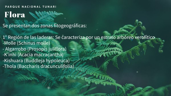 PARQUE NACIONAL TUNARI