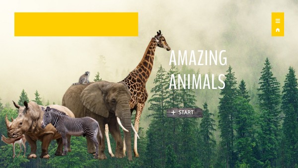 Unit 6. - Amazing animals