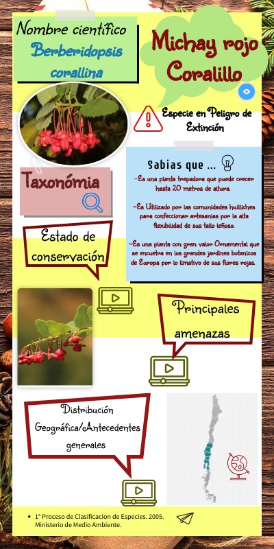 Michay Rojo | Genially