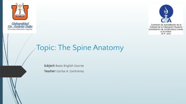 The Spine Anatomy ppt