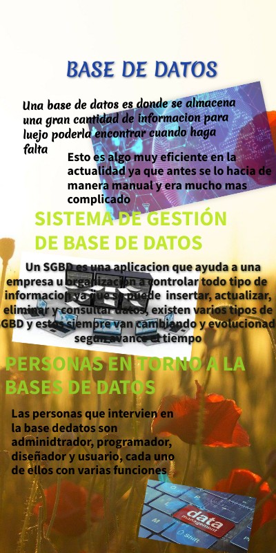 BASE DE DATOS