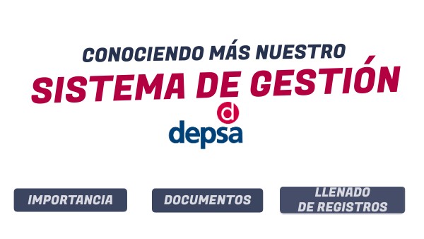 Sistema Integrado DEPSA