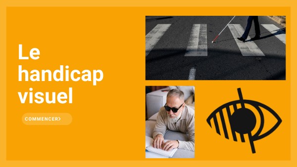 Le handicap visuel
