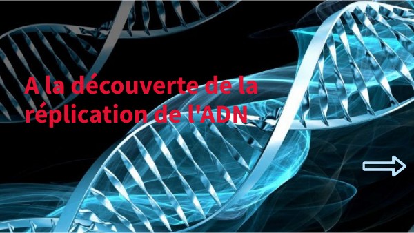 A la découverte de la réplication de l'ADN | Genially