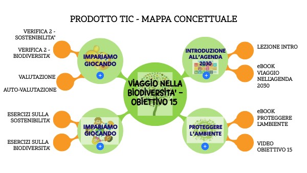 PRODOTTO TIC - MAPPA CONCETTUALE