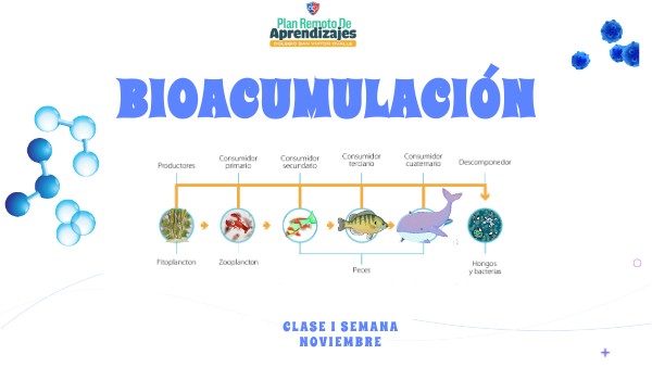 BIOACUMULACIÓN | Genially