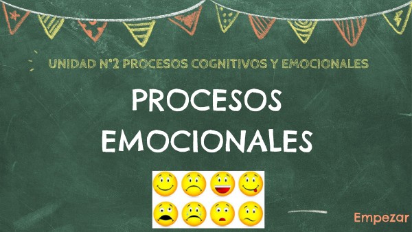 Procesos Emocionales