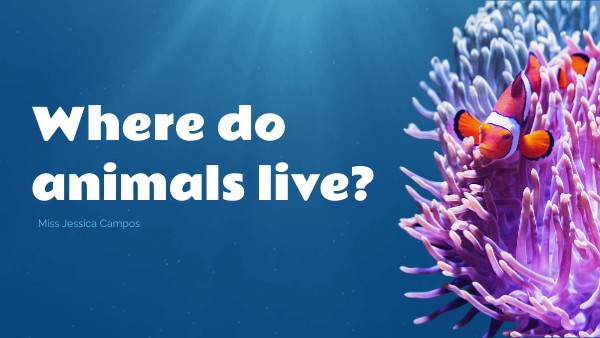 6º - Where do animals live?
