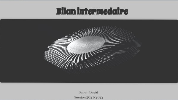 Bilan intermediare | Genially