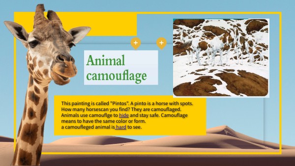 L1-Animal Camouflage