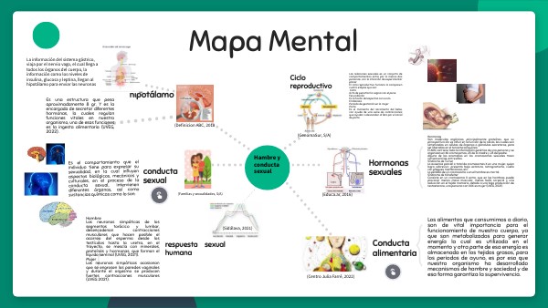 MAPA MENTAL EDUCACIÓN | Genially